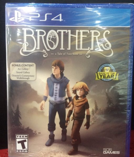 PS4 Brothers Tale of Two Sons – GameStation