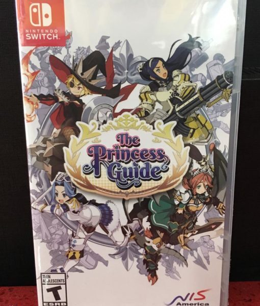 Switch The Princess Guide – GameStation